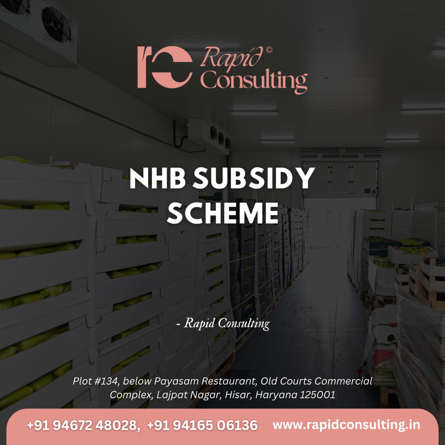 Best Business Consultant In India | Rapid Consulting