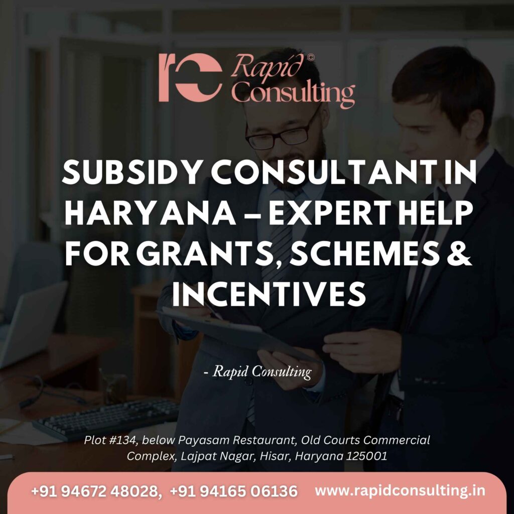 Best Business Consultant In India | Rapid Consulting
